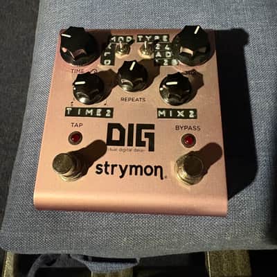 Strymon DIG Dual Digital Delay V1 w/ Power Supply | Reverb