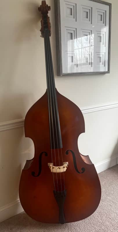 Strobel MB-80 3/4 Upright Bass (by Eastman Strings) – Student | Reverb