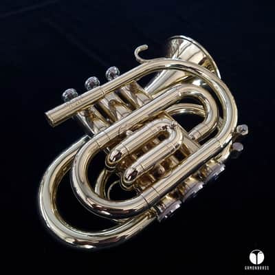 Jupiter pocket trumept case mouthpiece trumpet | Reverb Canada