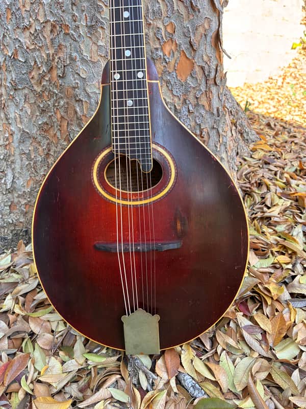 Gibson A-4 mandolin with original hardshell case 1920s | Reverb