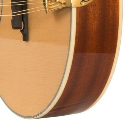 Gold Tone Model OM-800+ 8-String Solid Spruce Top Octave | Reverb