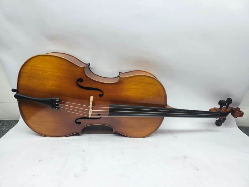 Fishburn 4 String Cello FVS125 4/4 Size | Reverb