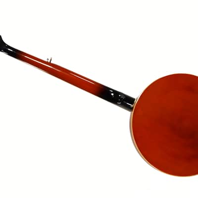 Danville BJ30 5 String Banjo w/ Gig Bag – Used - Natural | Reverb