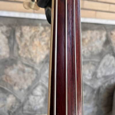 Ultra-Rare 1960 Wandré Naika Double Bass – Made in Italy – | Reverb