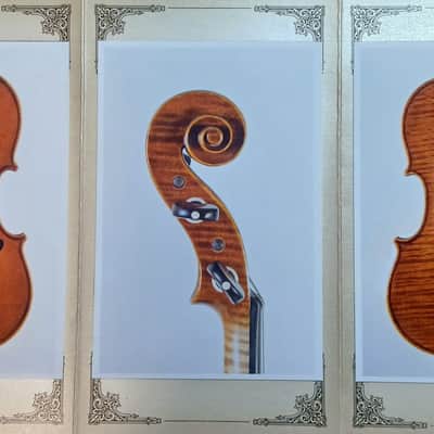 Professional Handmade 4/4 Violin - A. Stradivari “Cremonese | Reverb