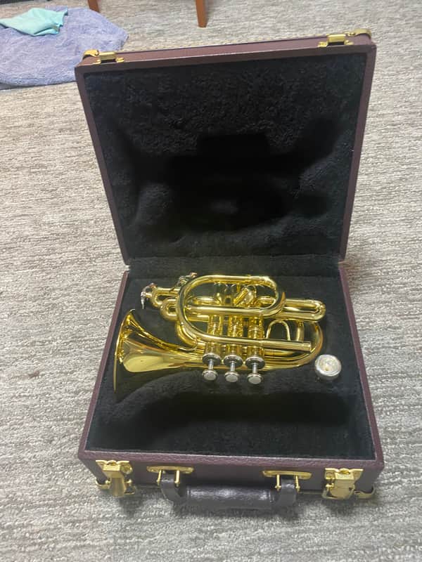 Manchester Brass Pocket Trumpet 2025 - Polished Lacquer | Reverb