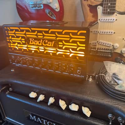 Bad Cat Ocelot 2-Channel 20-Watt Guitar Amp Head 2025 - | Reverb