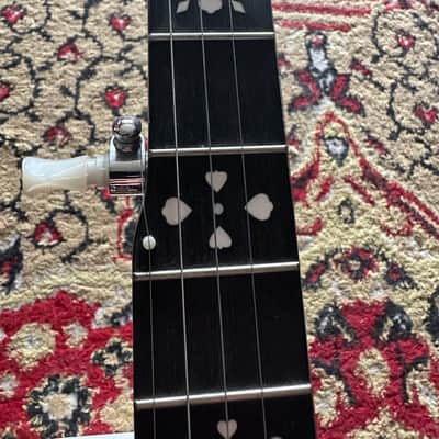 Danville 5-String Aluminum Pot Blue Grass Resonator Banjo | Reverb