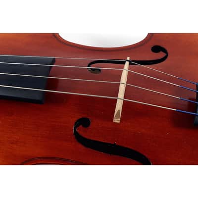 Bellafina Musicale Series Viola Outfit Regular 15.5 in. | Reverb
