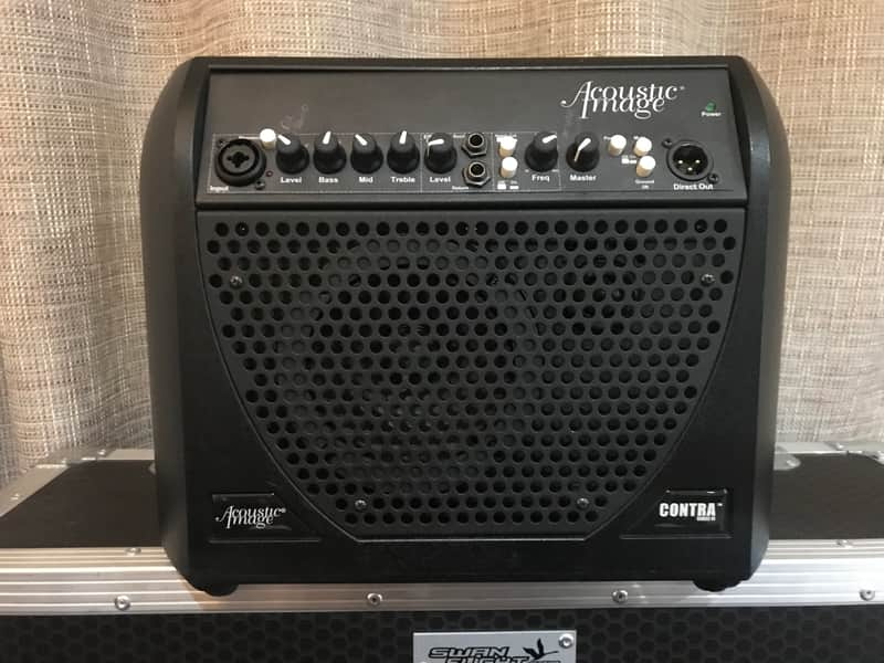 Acoustic Image amp (Rare - Great for Upright) | Reverb