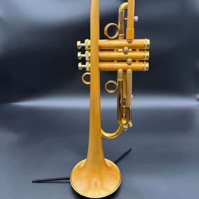 Taylor UK Chicago Std 46II | Gold Lacquer w/ Gold Plate Trim | Reverb