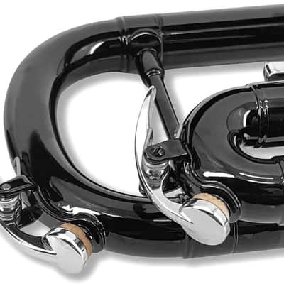 Bb Standard Trumpet Set for Beginners or students with | Reverb