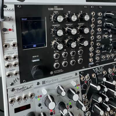 Synthesis Technology E352 Cloud Terrarium Module 2010s - | Reverb