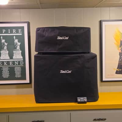 Bad Cat Black Cat 20W Head + Matching 1x12 Cabinet with | Reverb