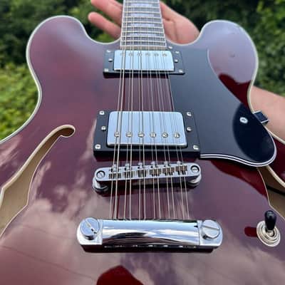 Firefly 12-string electric guitar with case | Reverb