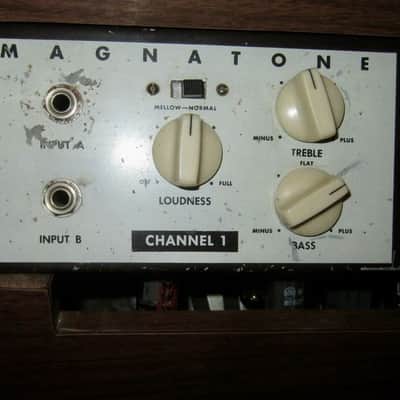 1957 Magnatone Custom 260 2 x 12" Combo Amp Brown | Reverb