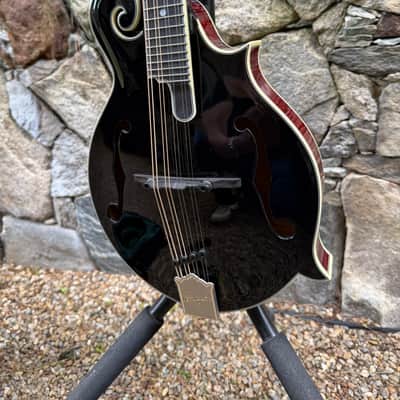 Bourgeois M5-F-BT Aged-Tone Adirondack/Maple Black Top | Reverb