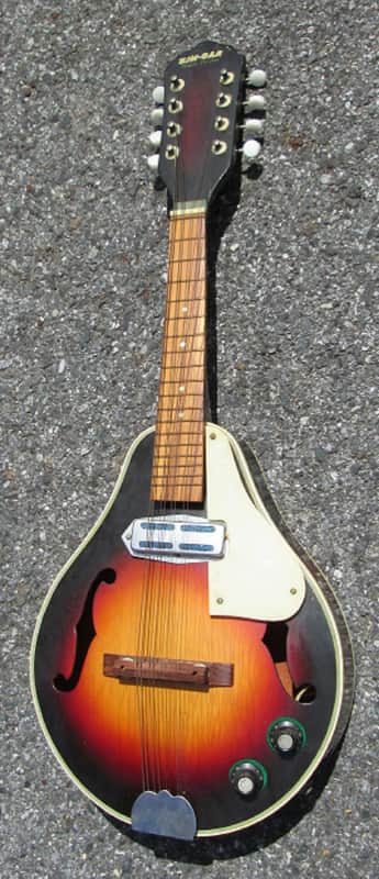 RARE Vintage '60s Zim-Gar ELECTRIC Mandolin BLUE | Reverb Deutschland