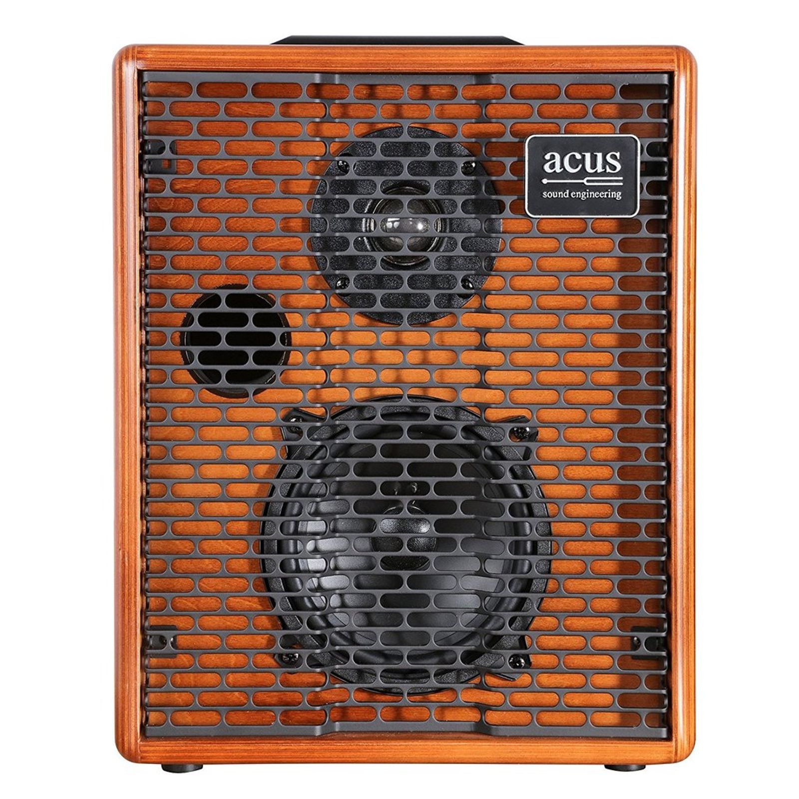 Acus One For Strings 5T 75-Watt Acoustic Combo | Reverb