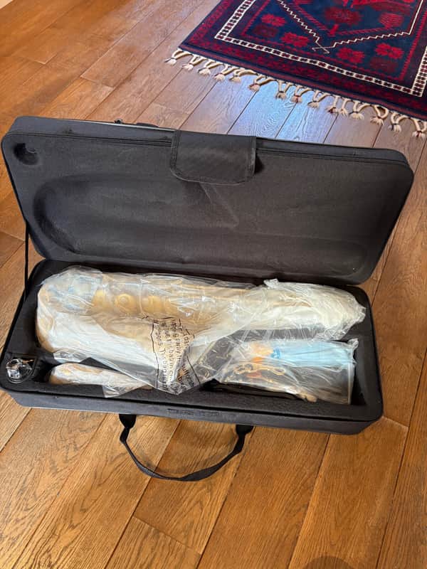 Eastar Eastar AS-Ⅱ Student Alto Saxophone E Flat Beginner Sax | Reverb