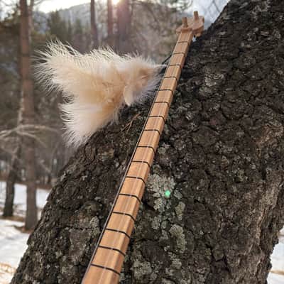 Handmade Premium Birch Dombra | Aged Spalted Wood (Karelian | Reverb