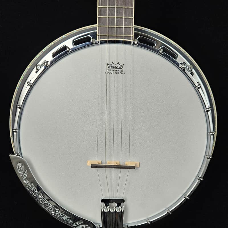 Ibanez B300 5-string Resonator Banjo - NEW ! | Reverb