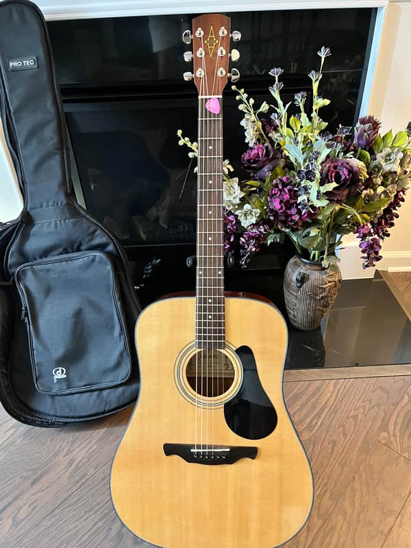 Alvarez RD20S Acoustic Guitar | Reverb