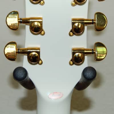 2024 Firefly FFSP LP-Style Electric || Quilted Top || Vine | Reverb