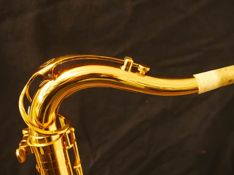 Tenor Saxophone Neck from Peter Ponzol | Reverb