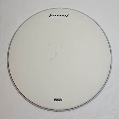 Evens 14" Coated Drum Head w/ Ludwig Logo | Reverb