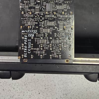 Steady State Fate SSF ENTITY ULTRA-PERC | Reverb