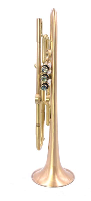 Bell Custom Trumpet Lightweight with Gold Brass Bell in satin | Reverb