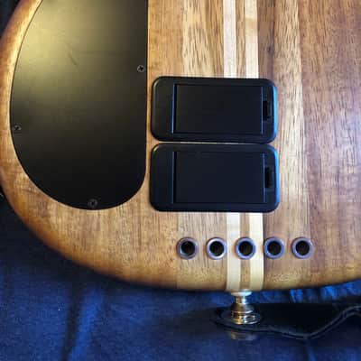 Carvin LB75 USA Neck-Thru 35.5” Scale 5-String – Koa | Reverb