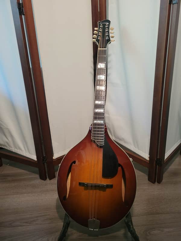 Eastman MDO605 Octave Mandolin Acoustic Electric – Solid | Reverb