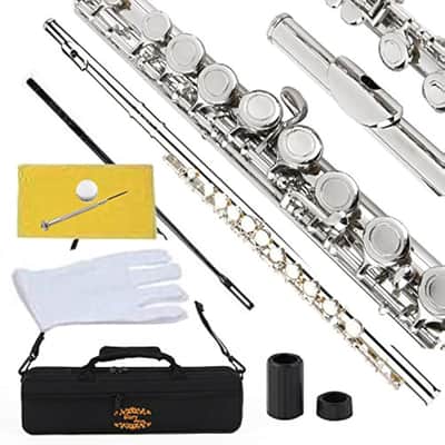 Glory Closed Hole C Flute With Case, Tuning Rod and | Reverb