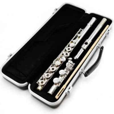 Haynes Amadeus AF482-CO Open Hole Student Model Flute | Reverb