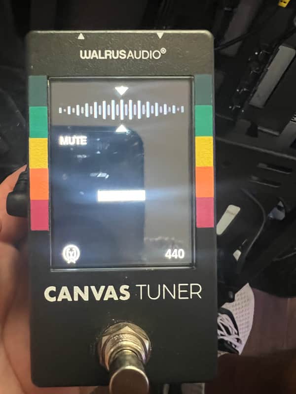 Walrus Audio Canvas Tuner 2023 - Present - Black | Reverb