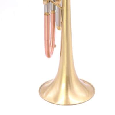 The Amazing Bell Trumpet in Satin Lacquer BT9351R-370 5.5 | Reverb