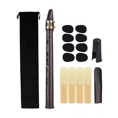 Portable Pocket Saxophone – Mini Woodwind Instrument for | Reverb