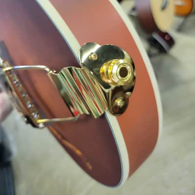 Gold Tone F-10 10 String Mandolin w/Case (FREE Shipping!) | Reverb