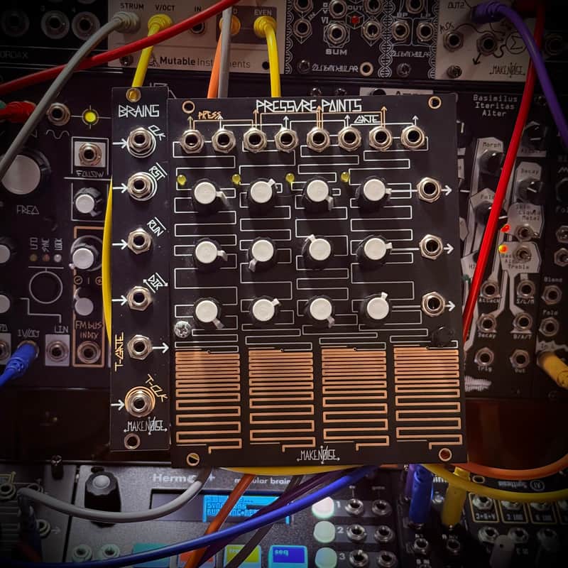 Make Noise Brains & Pressure Points | Reverb