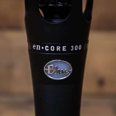 Blue Microphones enCore 300 Condenser Microphone Black | Reverb