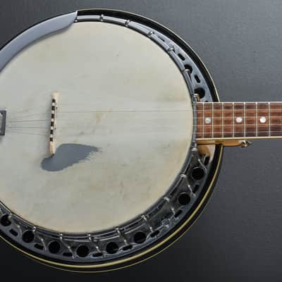 Fender USED Allegro 5 String Banjo '70s | Reverb