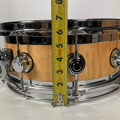 DW Drums Collector's Maple Standard Snare Drum 6.54x14 With | Reverb