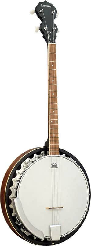 Ashbury AB-35-T Tenor Banjo, Mahogany Resonator | Reverb