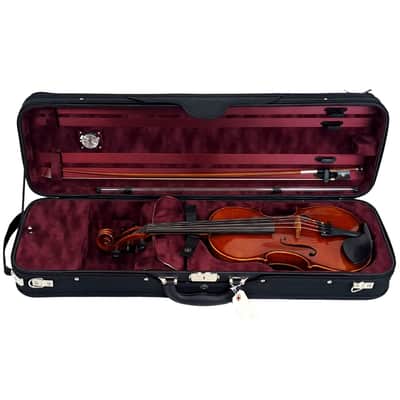 Used Rudoulf Doetsch VL701 5-String Violin w/ case and bow | Reverb