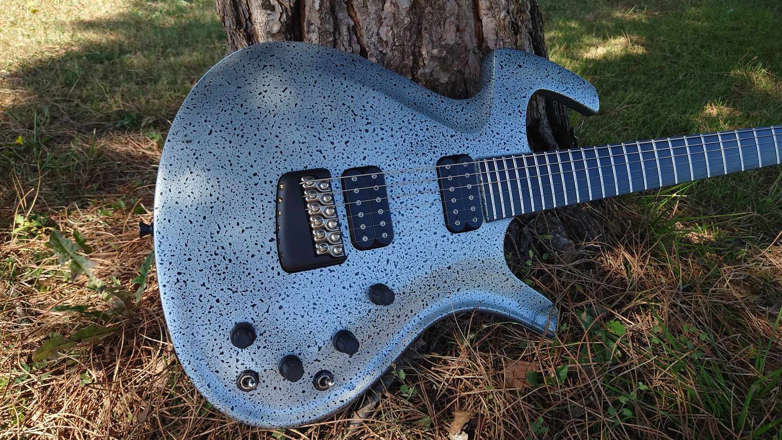 Parker Fly Hardtail | Reverb