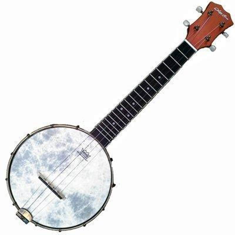 Delta Blue DUB-1 Ukulele Banjo with Brass Hardware | Reverb