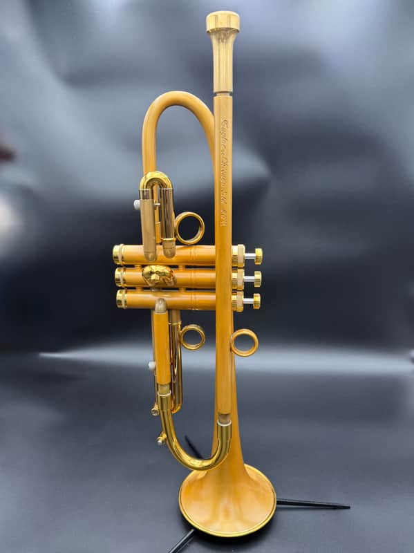 Taylor UK Chicago Std 46II | Gold Lacquer w/ Gold Plate Trim | Reverb