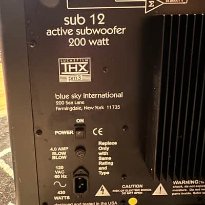 Blue Sky Sub 12 200 watt SubWoofer | Reverb